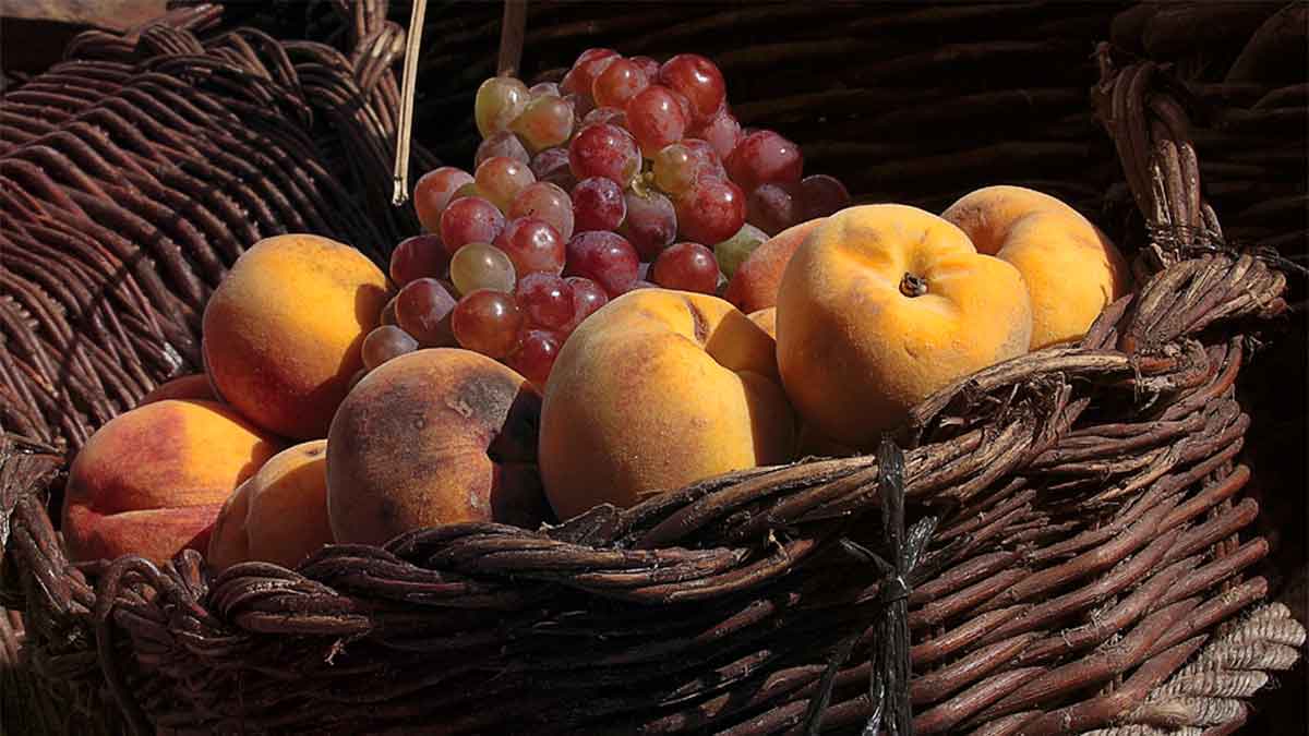 Fotografía de bodegón: técnicas y consejos útiles | 2026